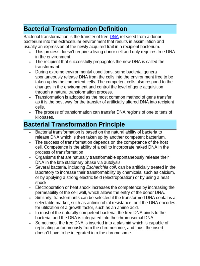 Bacterial Transformation | PDF | Transformation (Genetics) | Plasmid