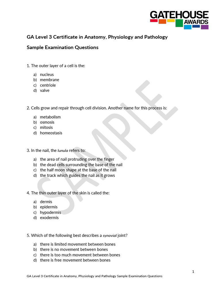 Sample Exam Questions 1 A P | PDF | Menstrual Cycle | Muscle