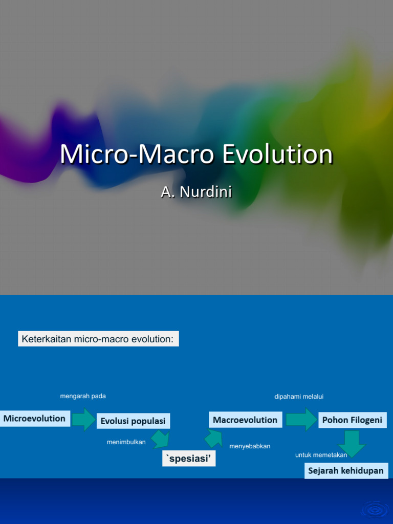 Micro Macro Evolution | PDF | Sains & Matematika