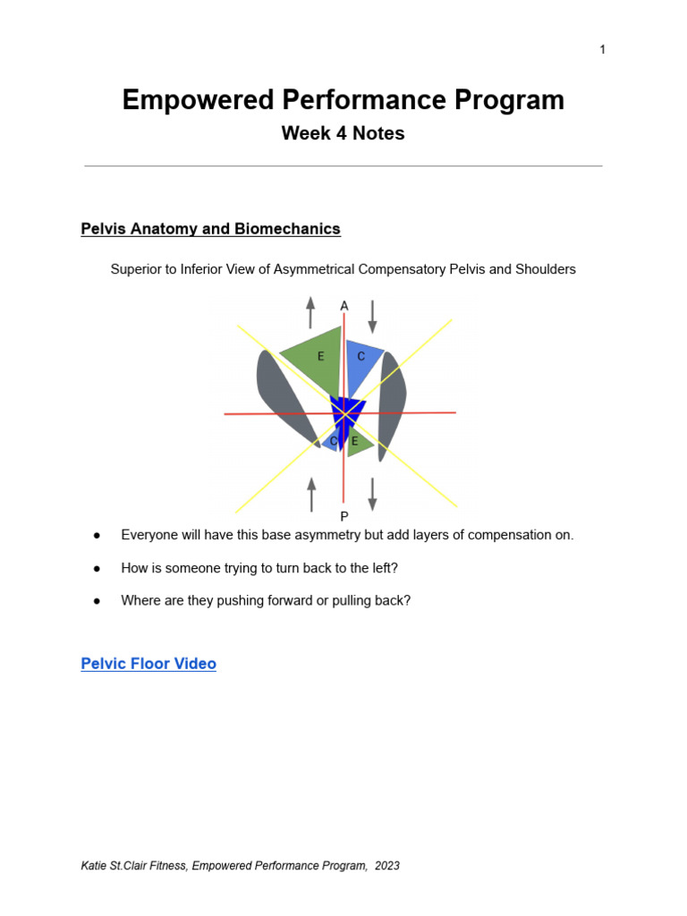 Week 4 Notes - Pelvis Anatomy and Biomechanics | PDF | Pelvis | Hip