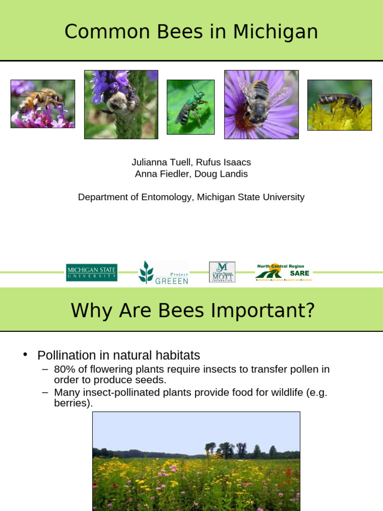 NEWPollinators+Power+Point | PDF | Bees | Honey Bee