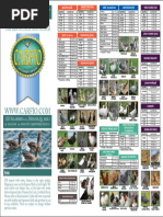 Brahma Chicken Color Genetics Guide | PDF | Junglefowls | Galliformes