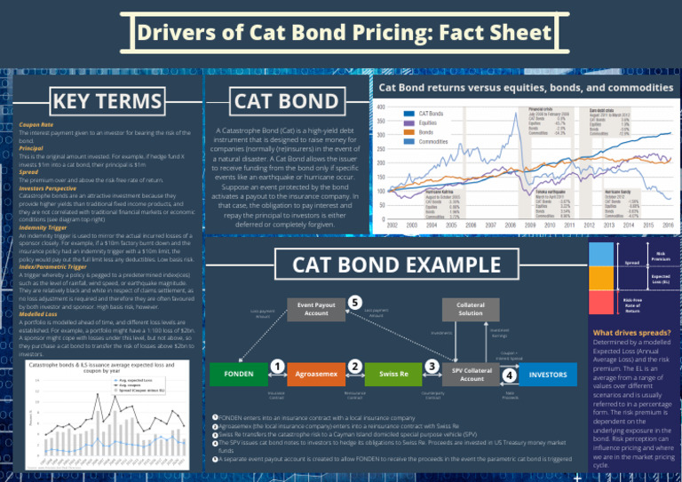 Drivers of Cat Bond Pricing | PDF | Bonds (Finance) | Insurance
