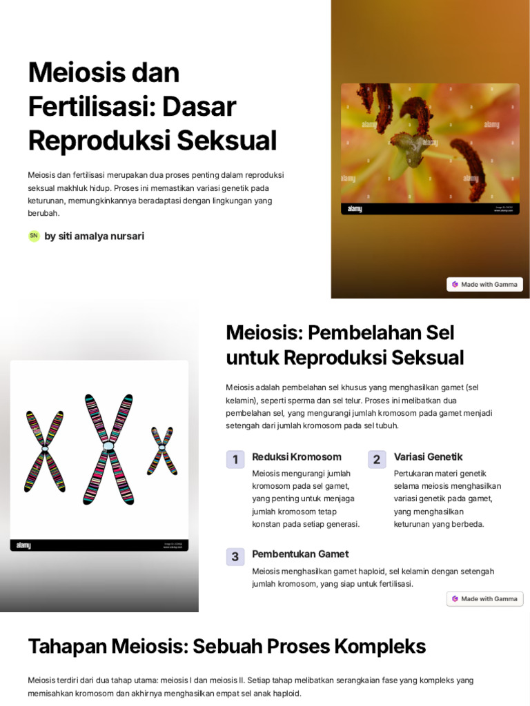 Meiosis Dan Fertilisasi Dasar Reproduksi Seksual | PDF | Kesehatan Holistik