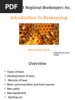 BSS Progression and Strategy Guide | PDF | Bees | Beehive