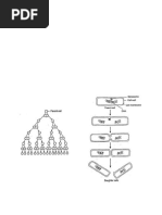 Antenatal Care Card | PDF | Gynaecology | Sexual Reproduction