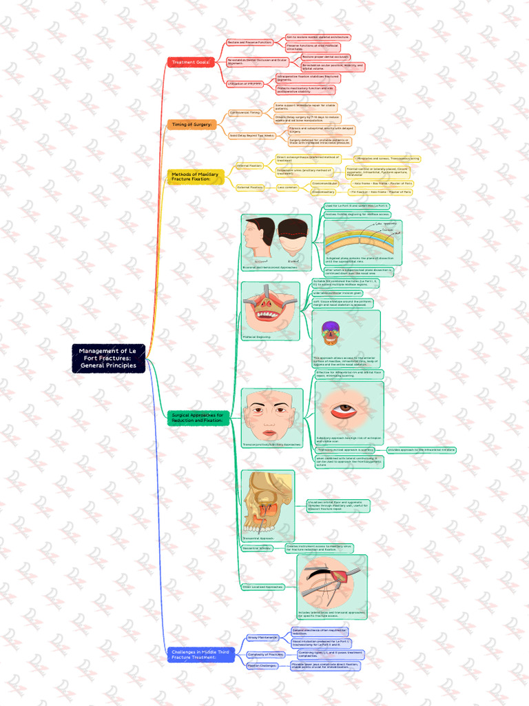 Le Fort Management Principles | PDF | Surgery | Surgical Specialties