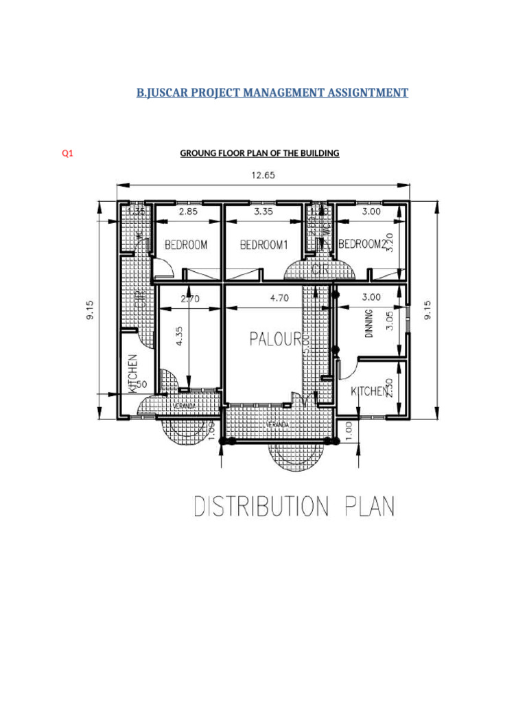 Project Management Assignment Overview | PDF | Project Management