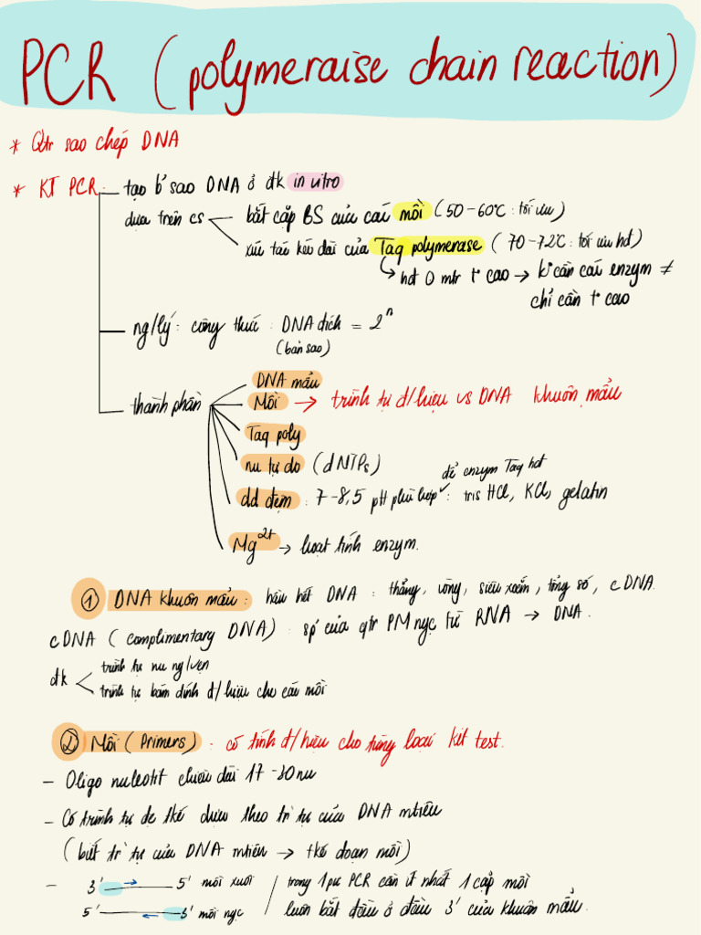 PCR | PDF