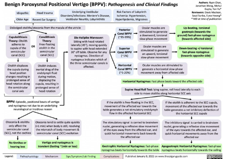 Pathogenesis BPPV | PDF