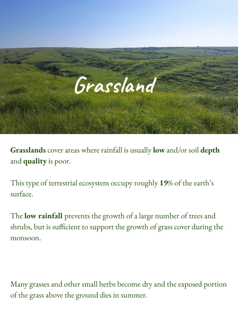 Grassland ecosystem new.pptx | PDF | Grassland | Savanna
