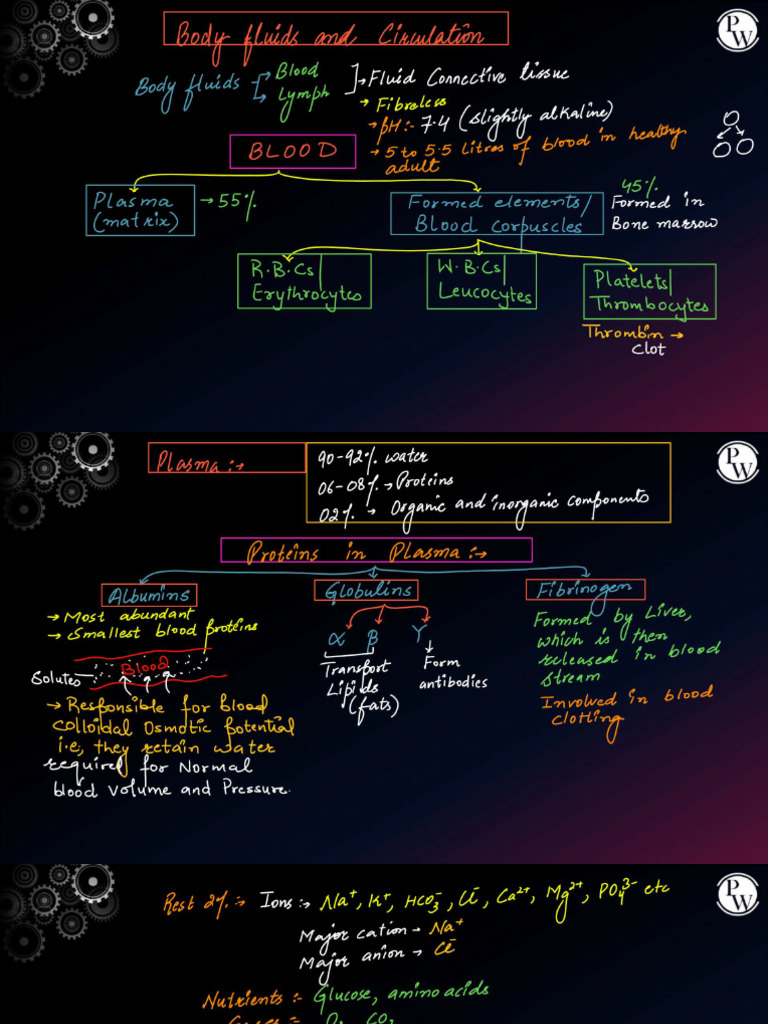 Body Fluids and Circulation - 01 | Class Notes | 52-AN201EA 2024 2 | PDF