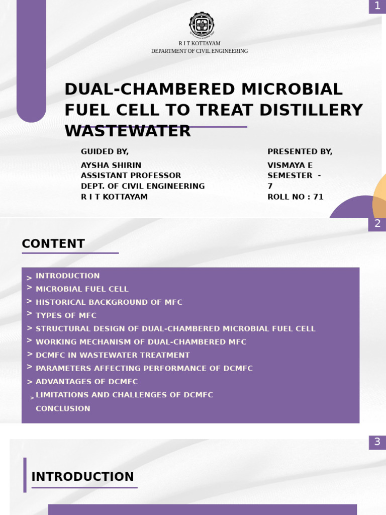 VISMAYA.pptx_20241019_175440_0000 | PDF | Physical Sciences | Materials