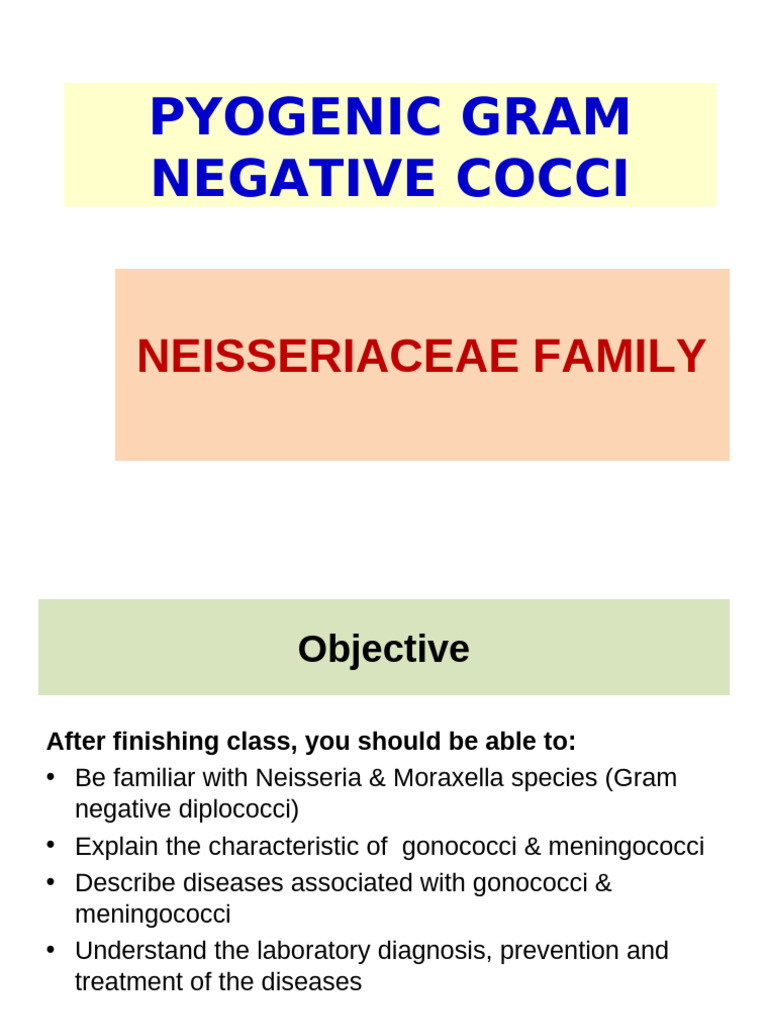 2 - GN Pyogenic Cocci - Neisseria | PDF | Meningitis | Immunology