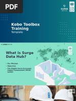KoboToolbox Excel Data Analyser - User Guide v01 140925small - Dist | PDF | Microsoft Excel ...