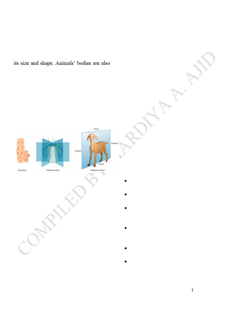 Animal Body Plans and Tissues Explained | PDF | Skin | Muscle