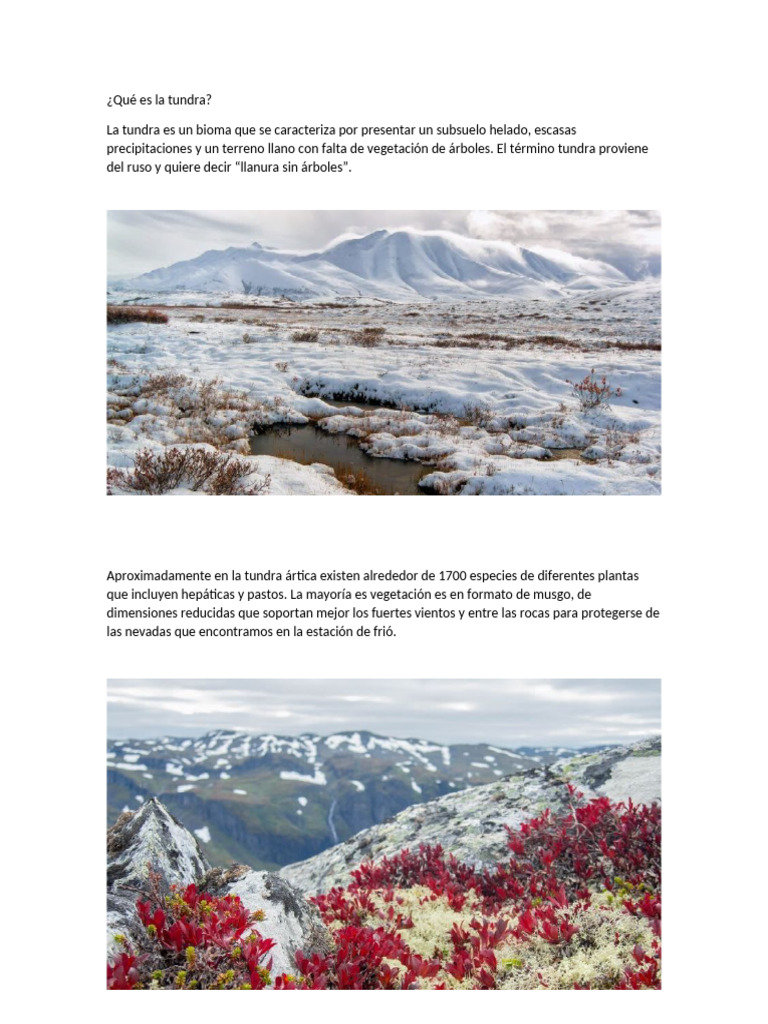 Qué es la tundra | PDF