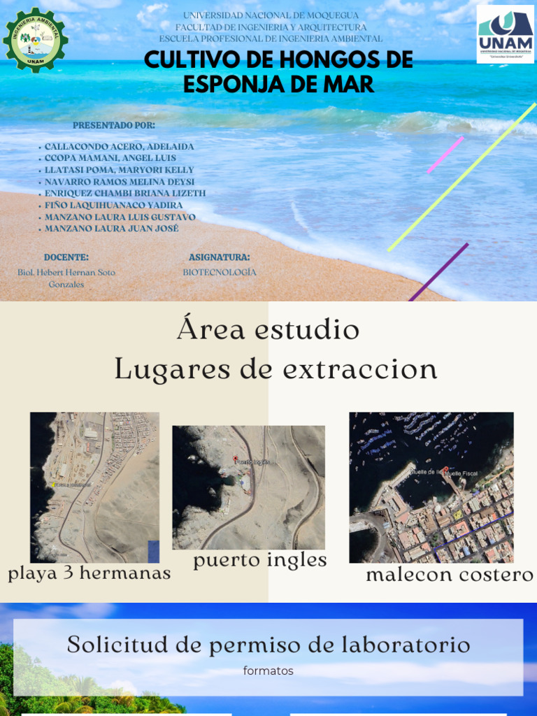 Cultivo de Hongos de Esponja de Mar | PDF