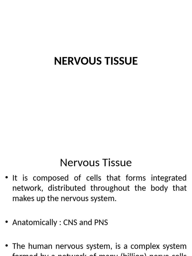 Nervous Tissue | PDF | Synapse | Neuron