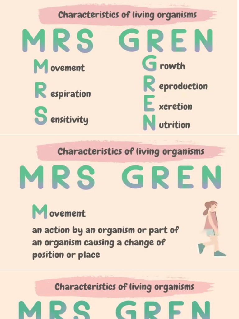 Grade 8 Biology Characteristics and Classification of Organisms | PDF ...