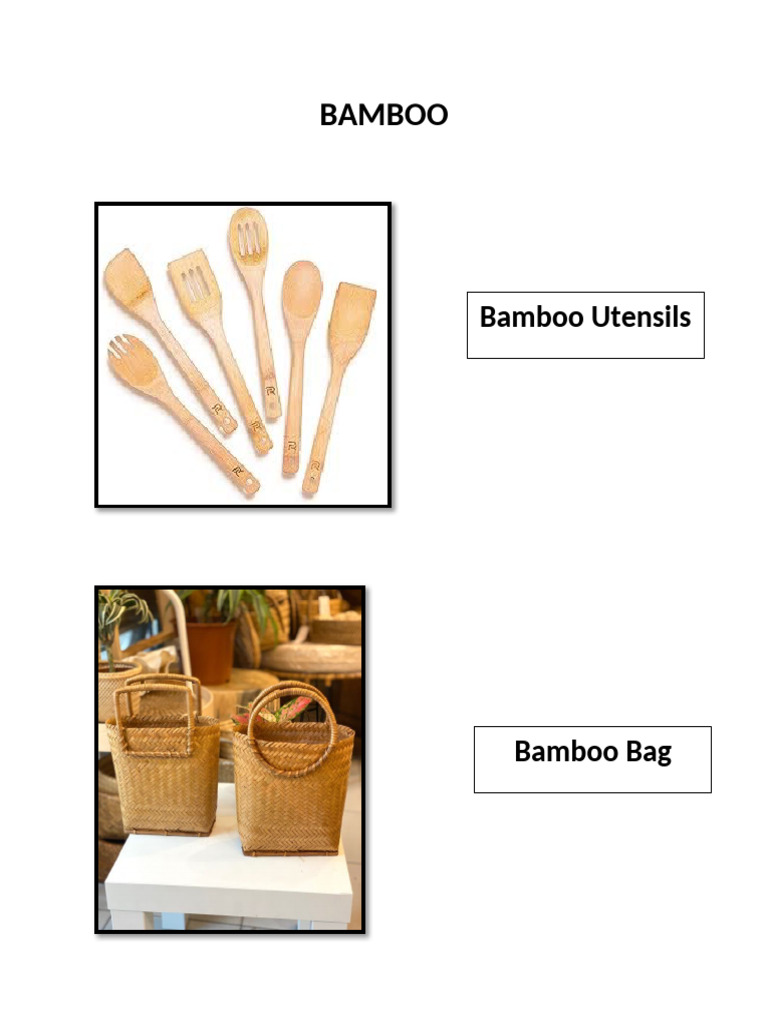Bamboo | PDF