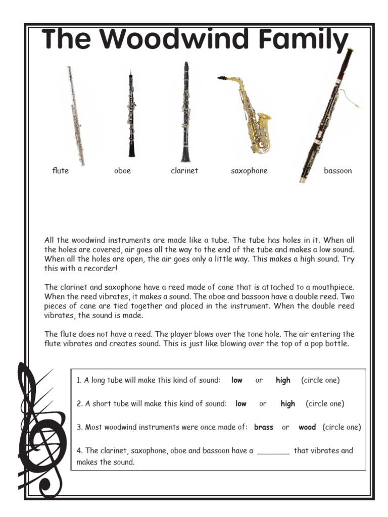 orchestra-worksheet_2 | PDF | String Instruments | Woodwind Instruments