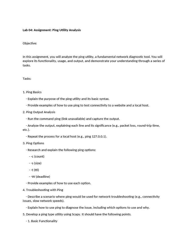 Ping Utility Assignment 4 | PDF