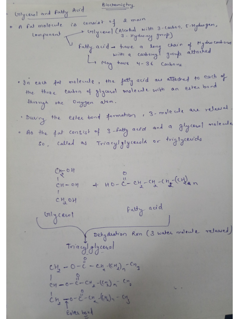 Biochemistry Basic Intro | PDF