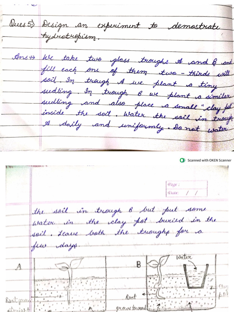 Chapter 7 Question Answer | PDF