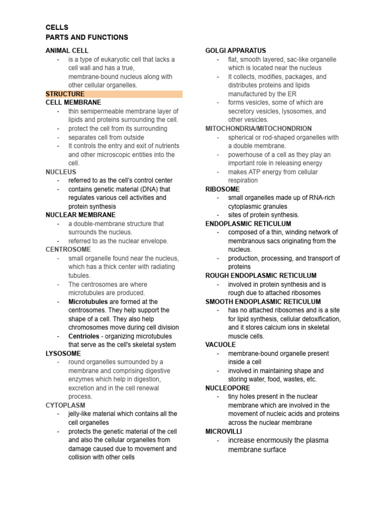 Animal Cell Structure and Functions | PDF | Cell (Biology ...
