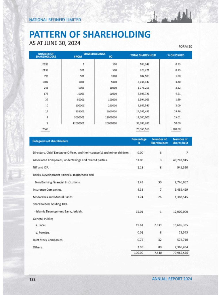 Shareholding Pattern | PDF