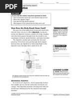 Digestive System Drawing | PDF | Human Digestive System | Digestion