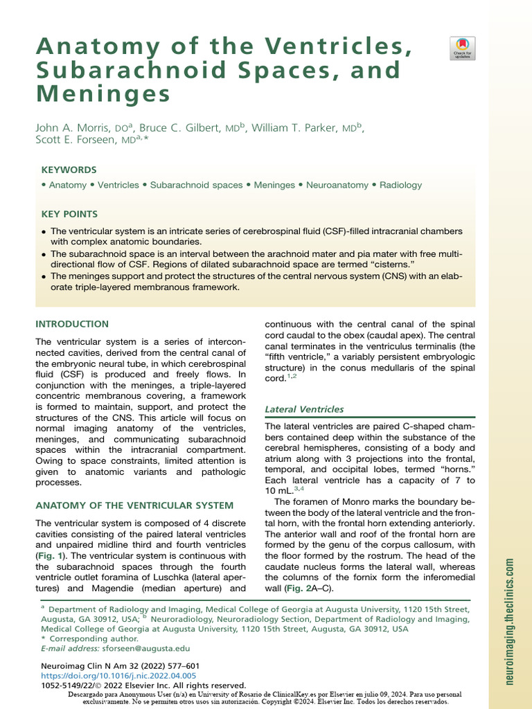 Anatomy of The Ventricles, Subarachnoid Spaces, and Meninges | PDF ...
