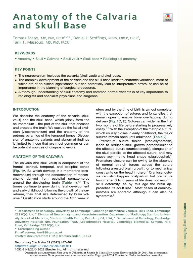 Anatomy of The Calvaria and Skull Base | PDF | Skull | Musculoskeletal ...