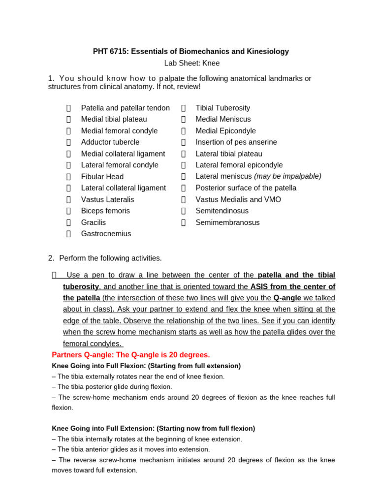 Lab - Knee | PDF | Knee | Anatomical Terms Of Motion