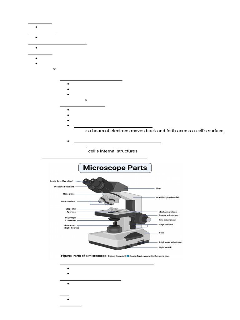 Lesson 1 - Micros | PDF | Microscope | Equipment