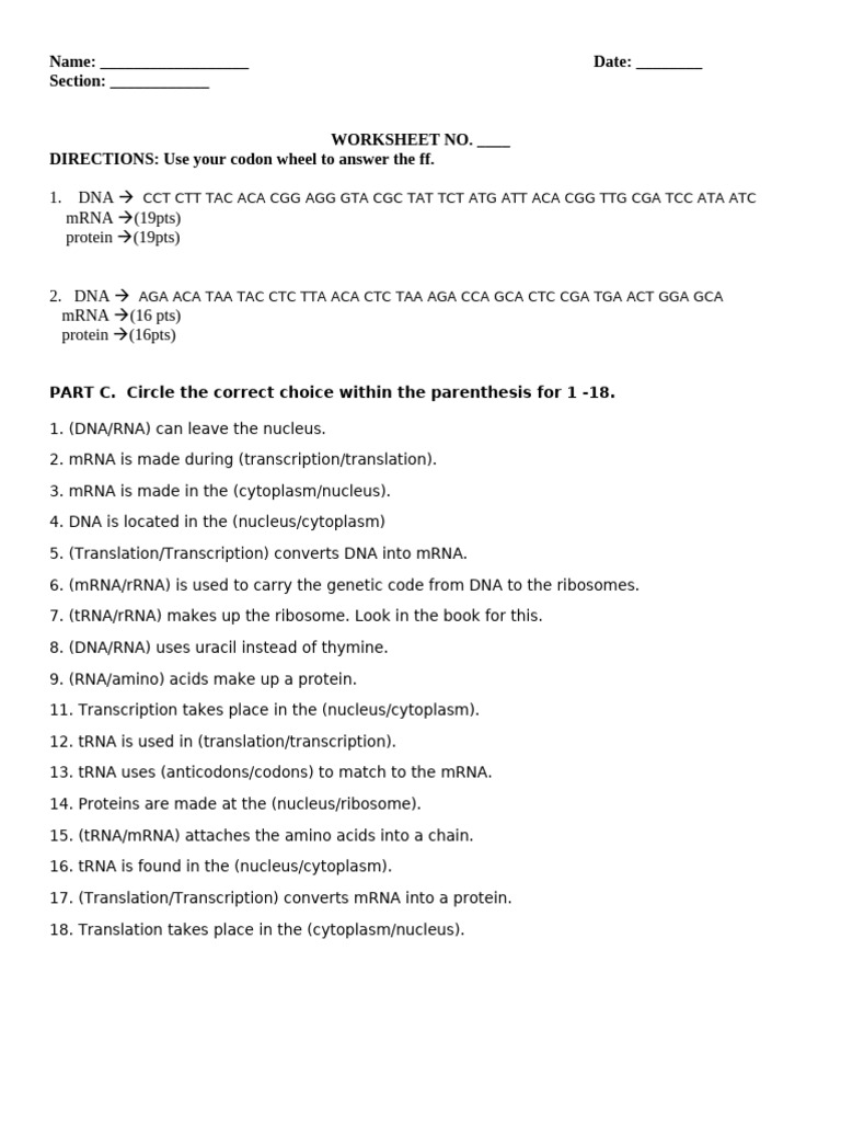 Protein Synthesis Worksheet No | PDF