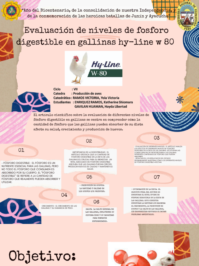 Evaluación de Niveles de Fosforo Digestible en Gallinas Hy-Line W 80 | PDF | Dieta