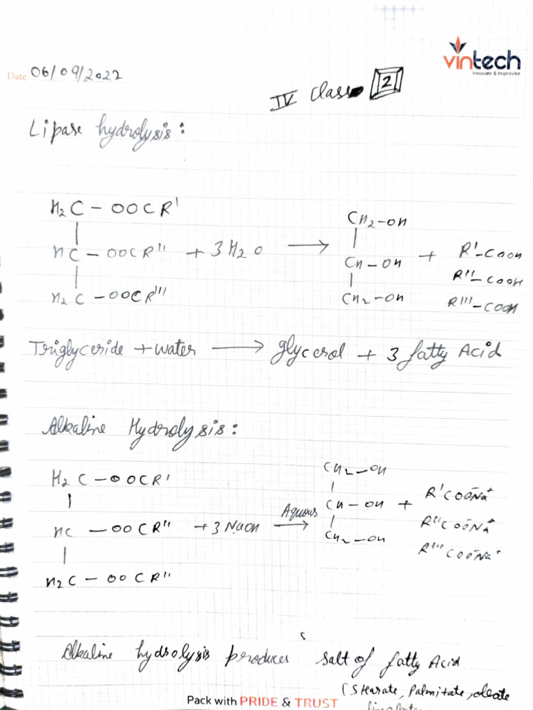LYPASE HYD. (IMP PDF) | PDF