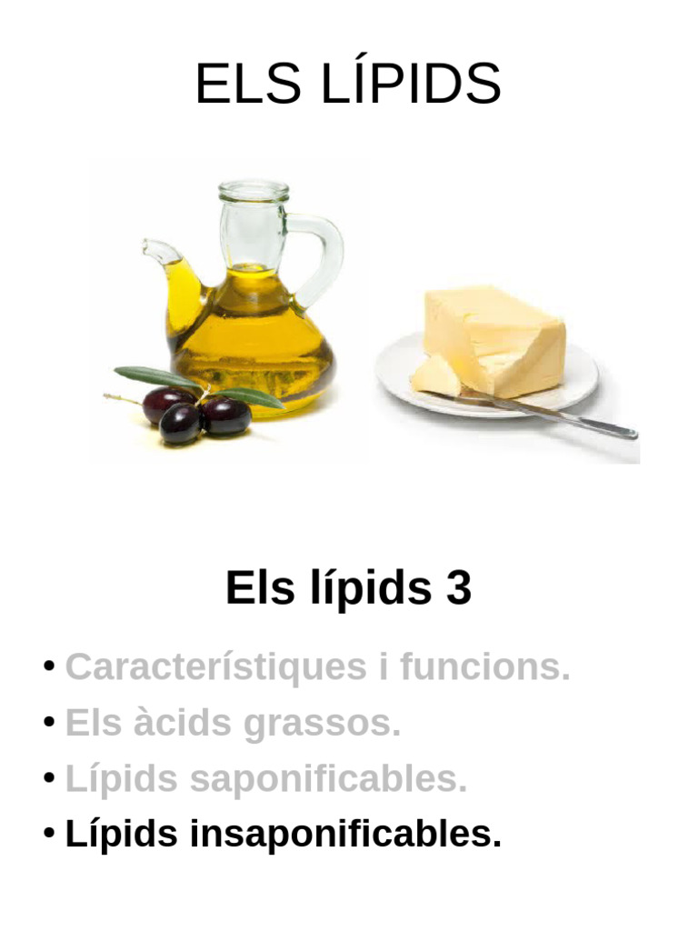 Lipids_3_Lipids_insaponificables | PDF