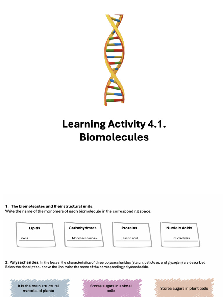 Biomolecules, Learning Activity | PDF