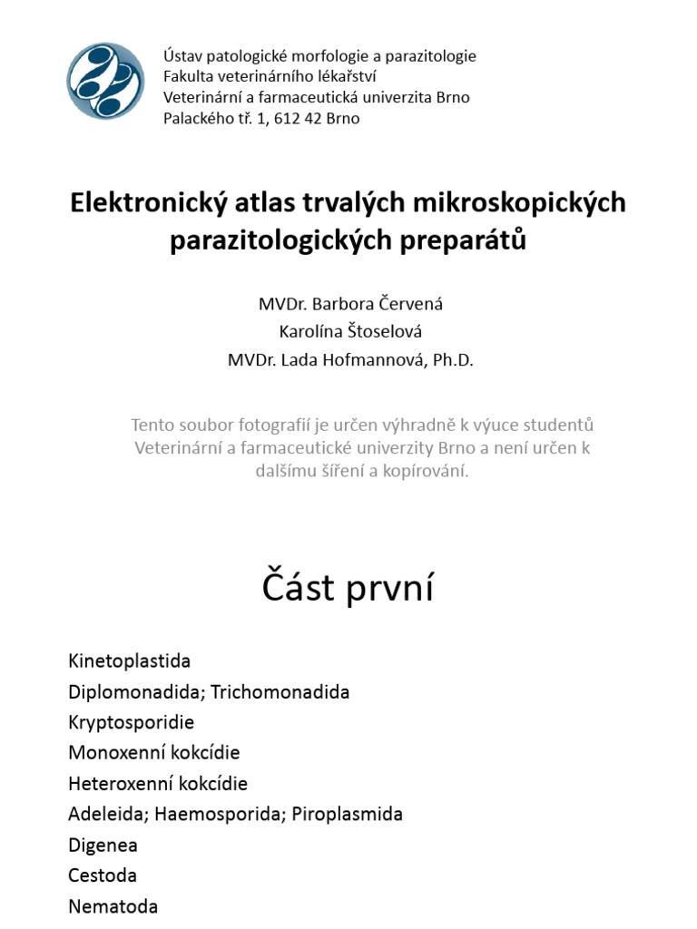 Mikra Atlas Barveni Iva - Atlas - Final-2 Brno | PDF