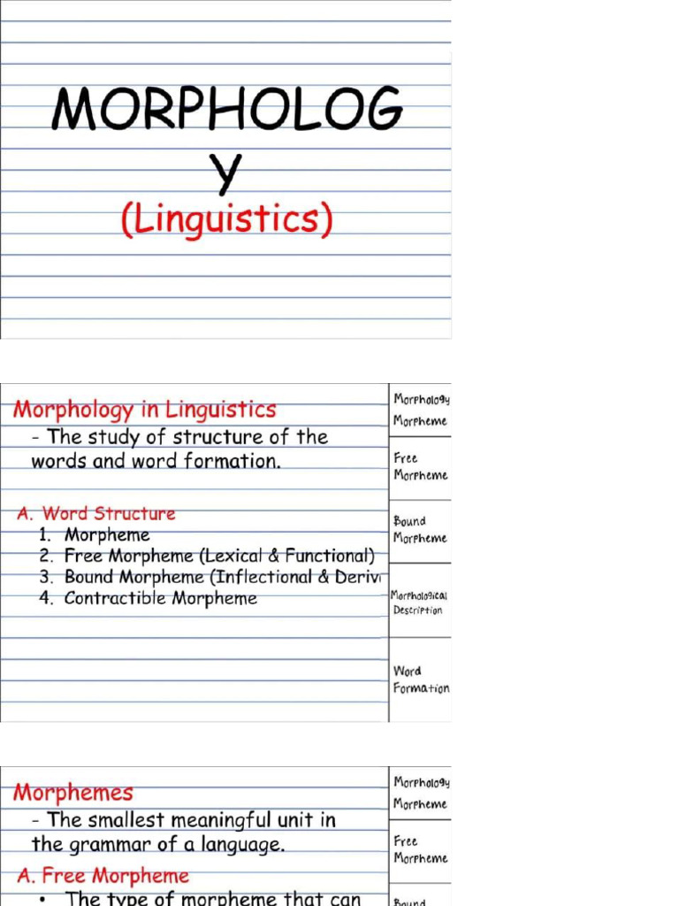 Morphology | PDF