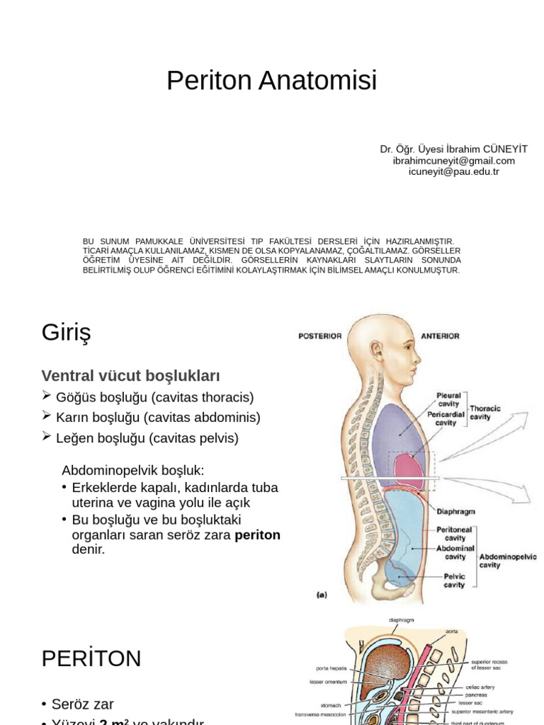 D3 Periton Kopyası | PDF
