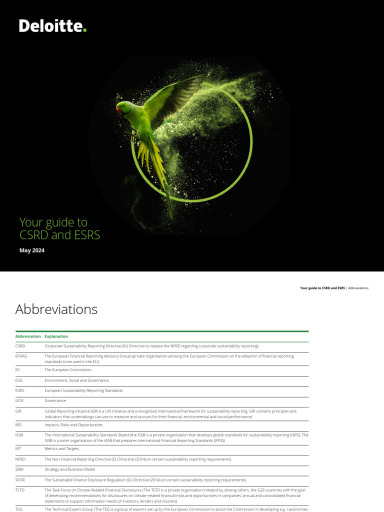 Your Guide To CSRD and ESRS 24 | PDF | Economies | Business