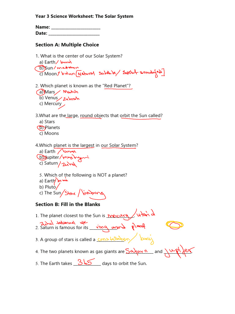 Year 3 Science Worksheet | PDF