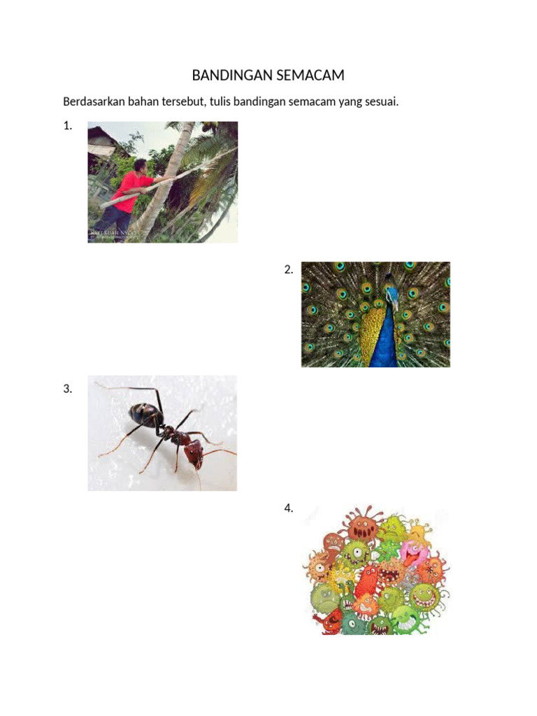 Bandingan Semacam | PDF