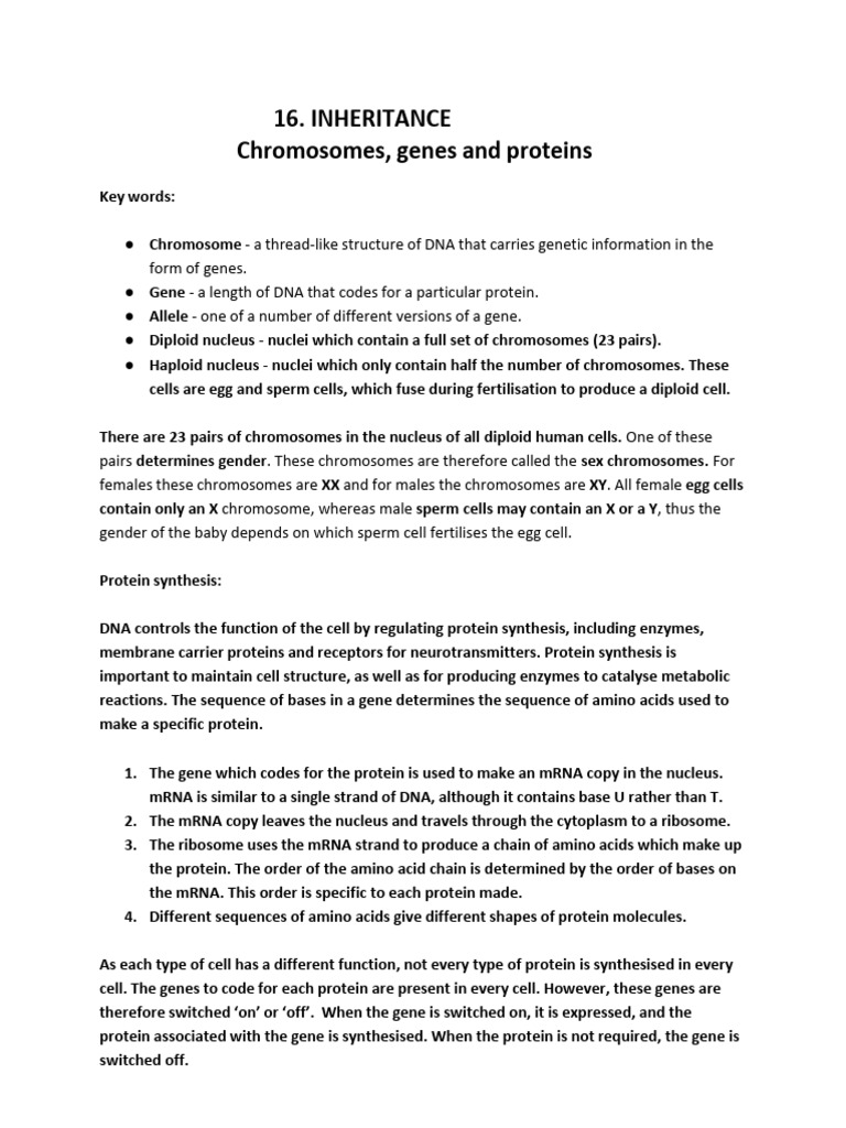 Chapter - 16 Inheritance Notes | PDF | Dominance (Genetics) | Zygosity