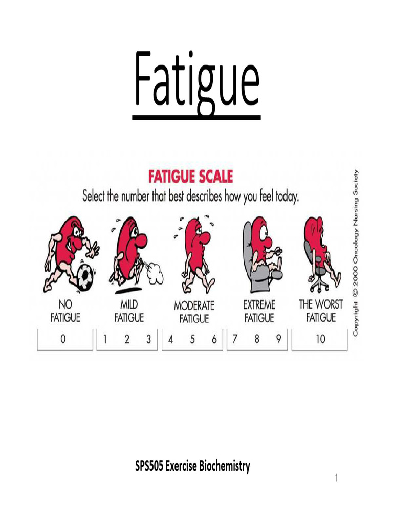10. Fatigue | PDF | Antioxidant | Glycogen