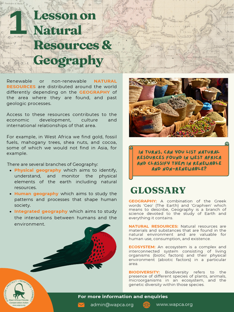 SHS Activity 1 Sheet | PDF | Infographics | Ecosystem